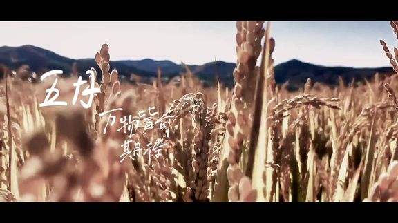 今天这个歌挺好的,歌词记不住整不会了,哈哈#稻香