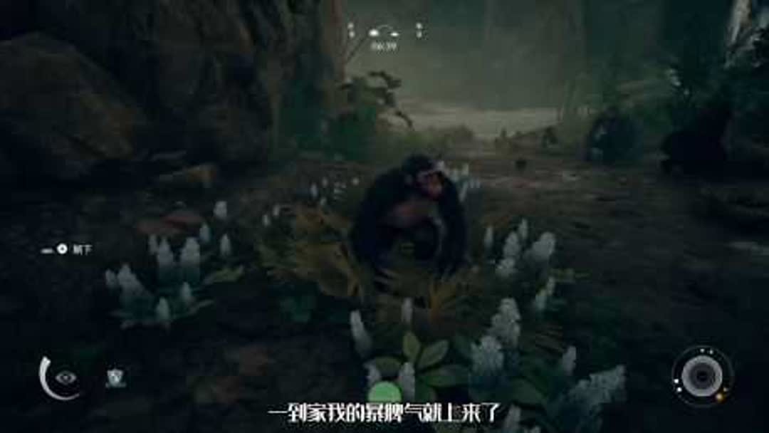 祖先模拟器:陨石大蟒蛇大鳄鱼大老虎一起出现,这是要完啊