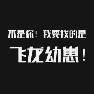 飞龙幼崽 