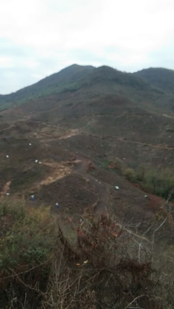 看看这处穴地怎么样