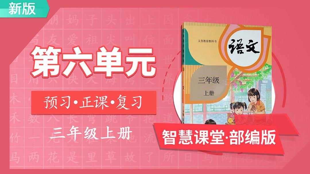 课文19《海滨小城》复习课