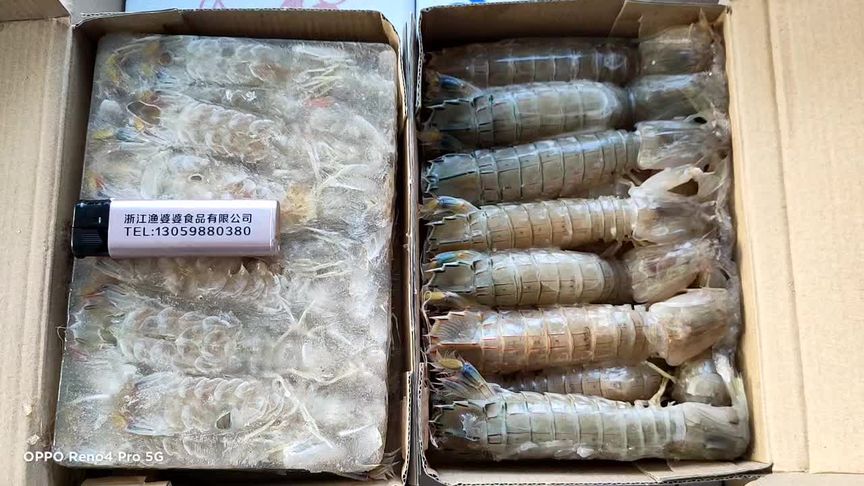 生冻盒装皮皮虾 一件12盒 每盒净重450g 毛重550g 60元一件