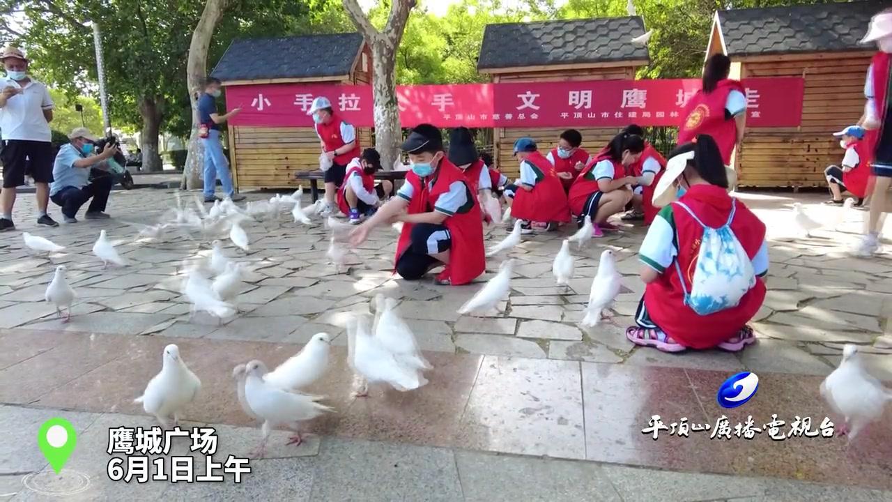 6月1日,市住建局园林绿化中心联合市慈善总会在鹰城广场和动物园...
