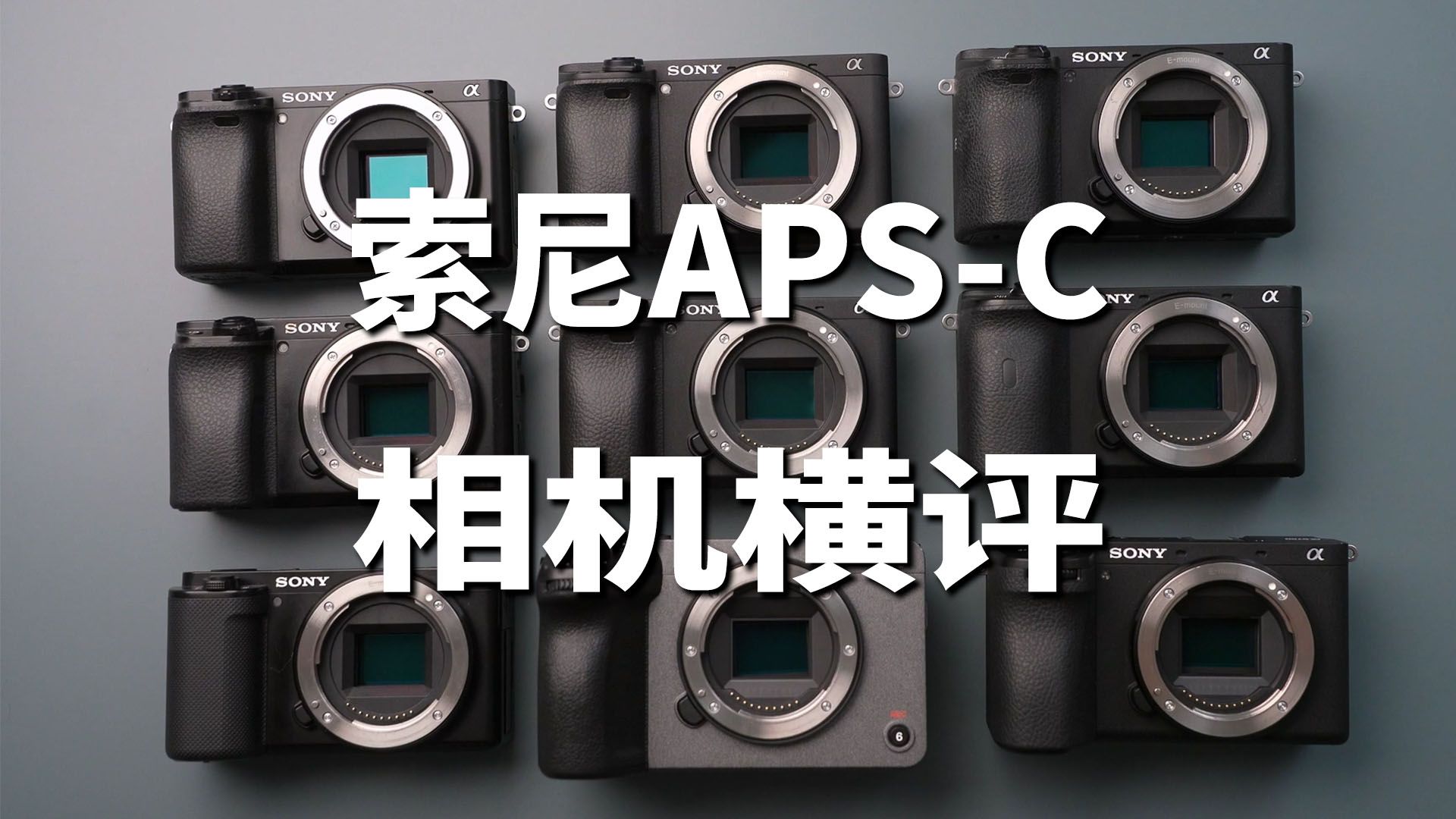索尼APS-C相机横评a6000 a6100 a6300 a6400 a6500 a6600 ZV-E10 ...