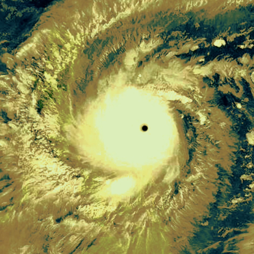 记忆中绽放的Goni 