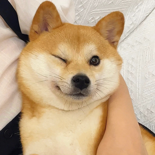 轻松yi刻 