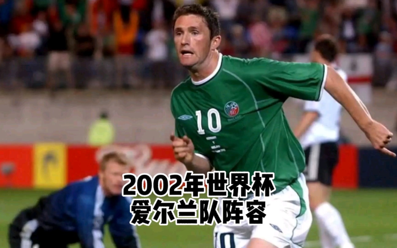 2002年世界杯顽强的爱尔兰人。