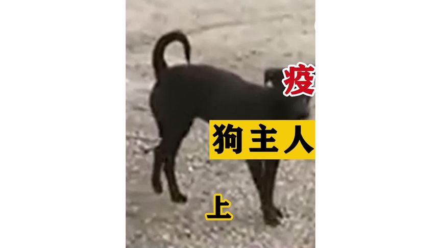 6岁男孩被路边恶狗撕咬,疫苗打到第四针人就没了!狗主人