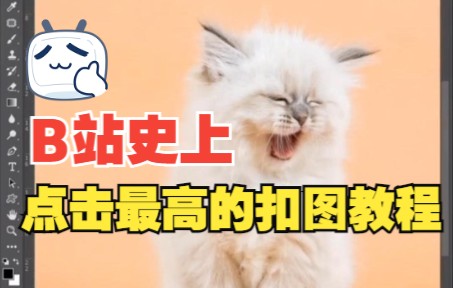 【PS干货教程之扣图教程】扣动物毛发有白边不细致?来~教你如何...
