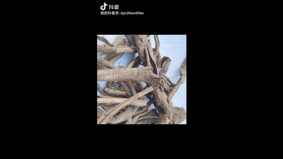 刺老芽根皮的功效与作用,
