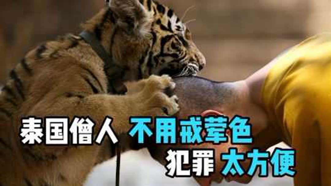 泰国佛教,那些披着宗教外衣之下的恶,泰国人信仰崩塌?