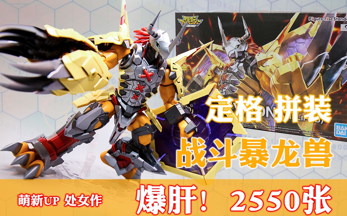 【定格动画】 万代FRS 战斗暴龙兽 萌新第一次拍 定格拼装