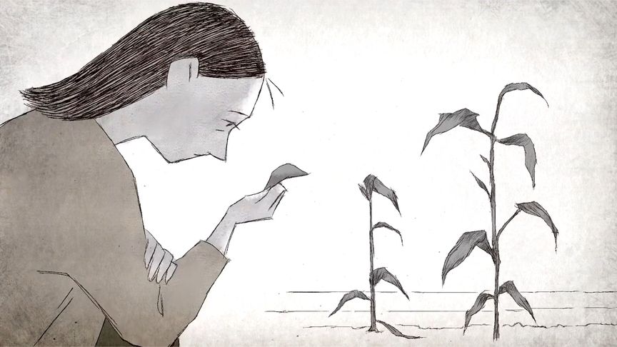 【无论如何我爱你】第93届奥斯卡最佳动画短片 2021