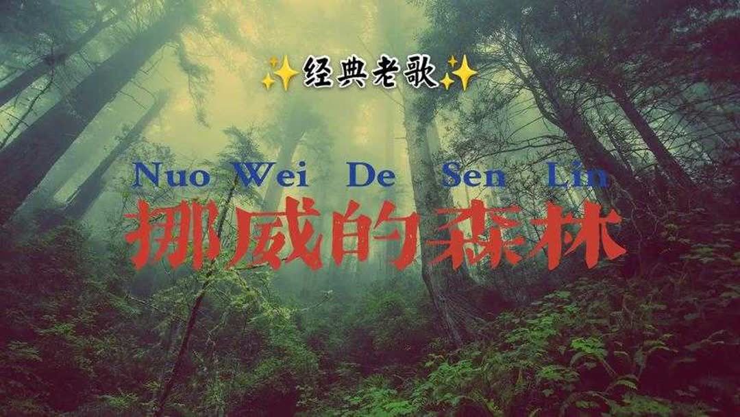 伍佰《挪威的森林》,80年代华语世界神级单曲,让人百听不厌!