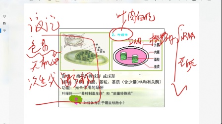 20221112_高一生物