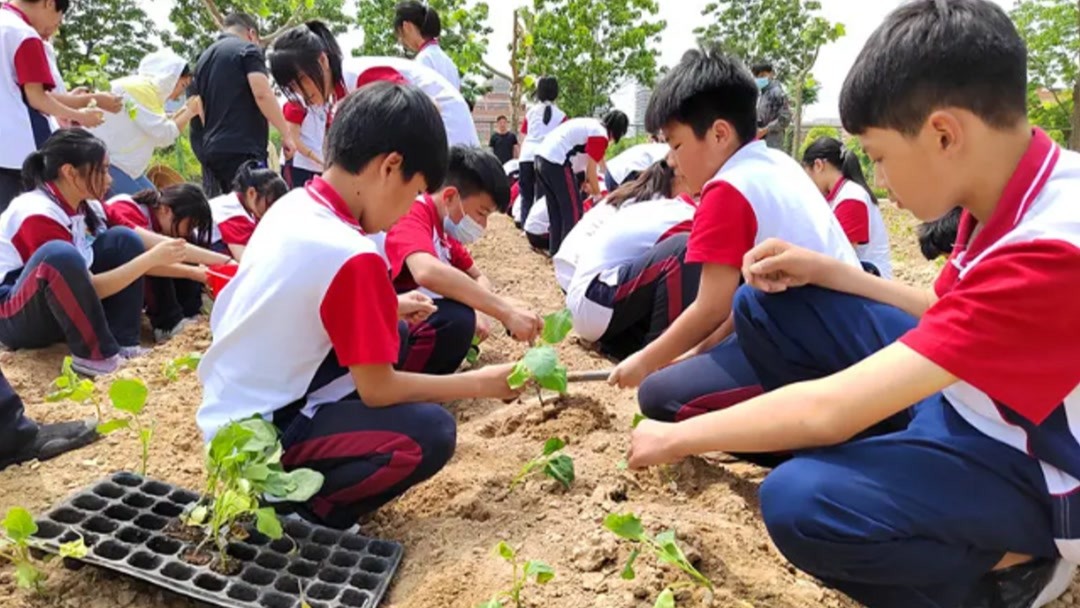 教育部发布劳动课程标准:9月起,中小学生要学煮饭种菜修家电