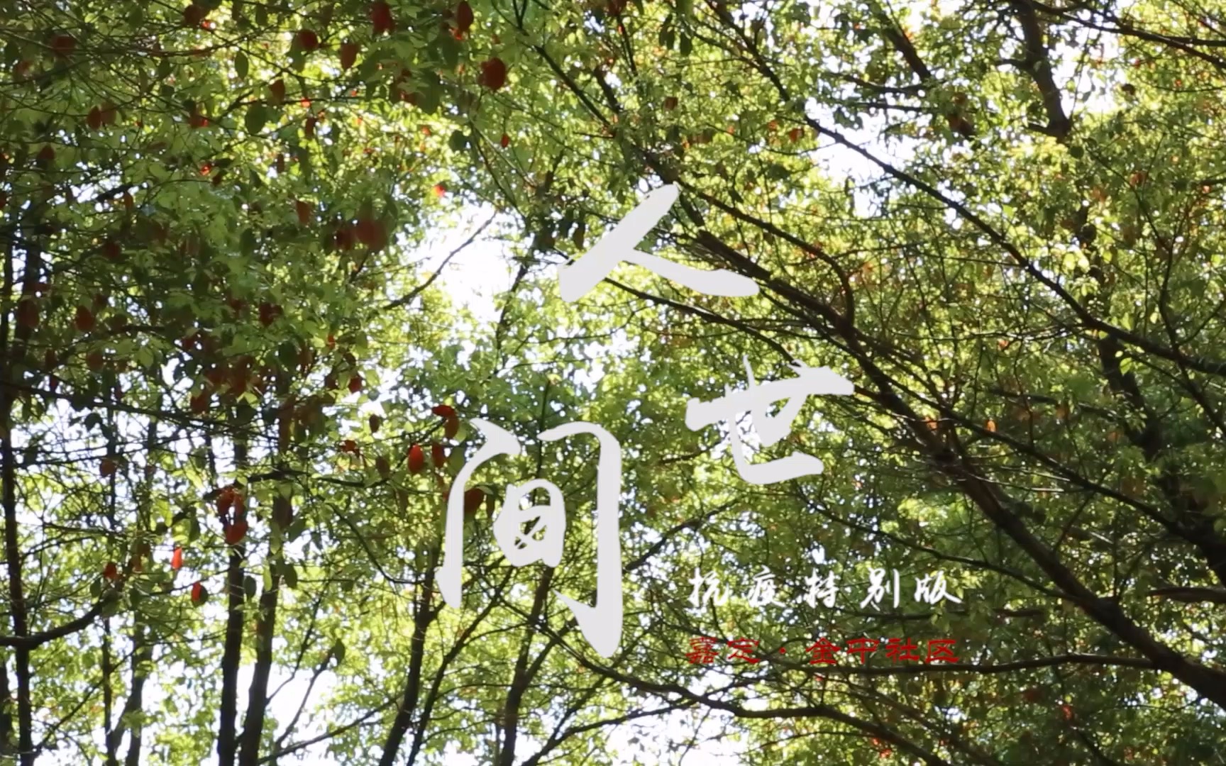 上海嘉定·金中社区抗疫纪录MV-来自真实体验下的记录~