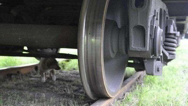 中国火车行驶到俄罗斯,竟需要"换轮子"?