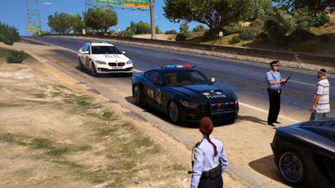 GTA5警察模拟:同事寻求帮助过去一看原来有人非法飚车