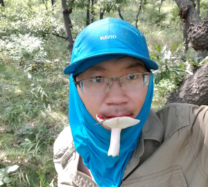 鹅膏哥（业余解答你不认识的蘑菇） 