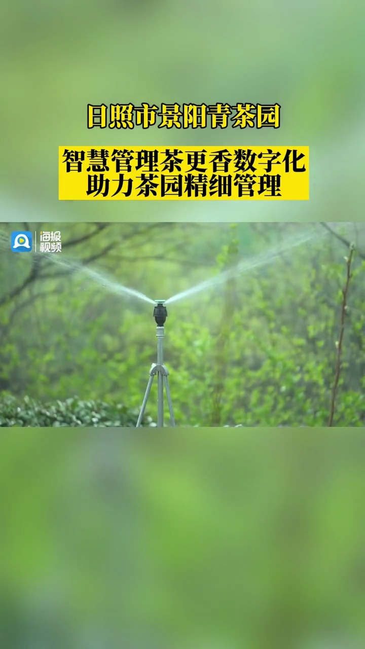 智慧管理茶更香#茶文化