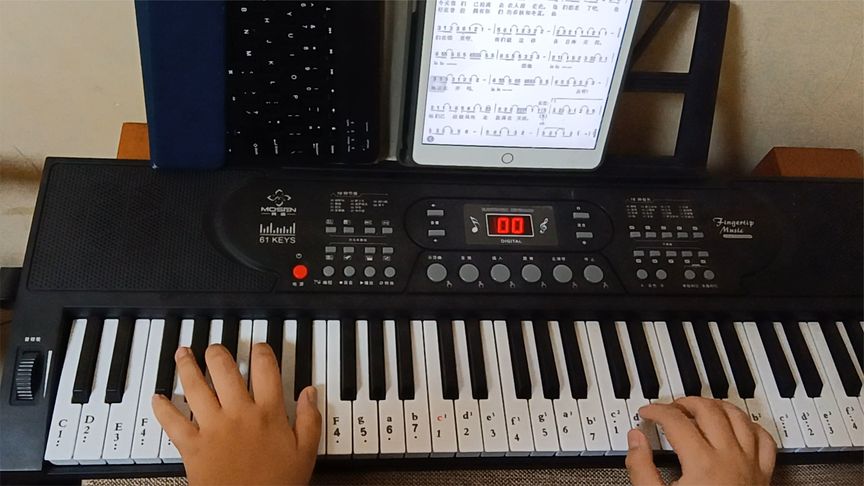 小海 演奏《那些花儿》也许青春渐行渐远,再回首,美丽又感伤。