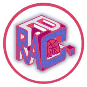 厦一实践 