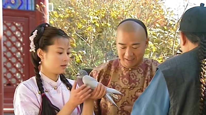 纪晓岚从鸽子卖主口中得知鸽子可以传信,联想到和珅收购大量鸽子