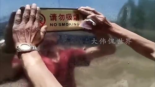景区张贴禁止吸烟标志,大爷嚣张"顶风作案",嘴里叼的是生活!