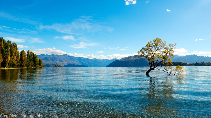 成功的机遇永远青睐积极主动的人,如果你形成积极主动的工作习惯