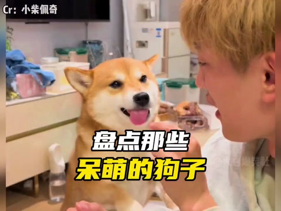 狗子的日常神操作