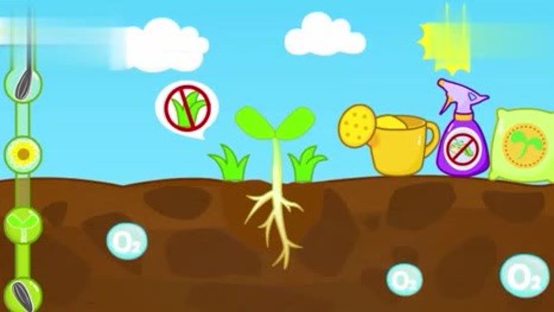 惊人的大自然,让宝宝从小了解各种植物的生长全过程,也太美妙了