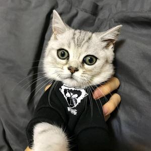 六子动漫厅 