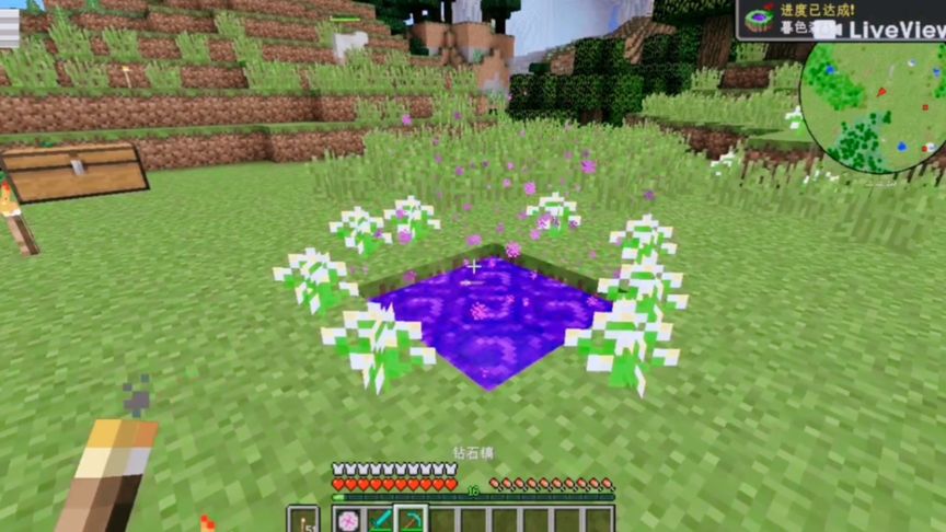 变形暮色生存记1.做出暮色传送门