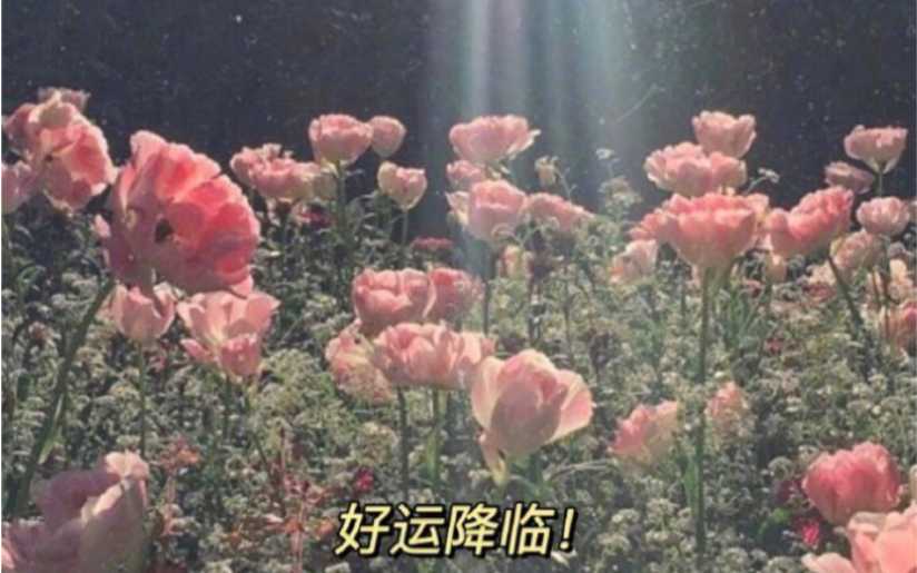 公司团建没有目的的拍摄但也走心了