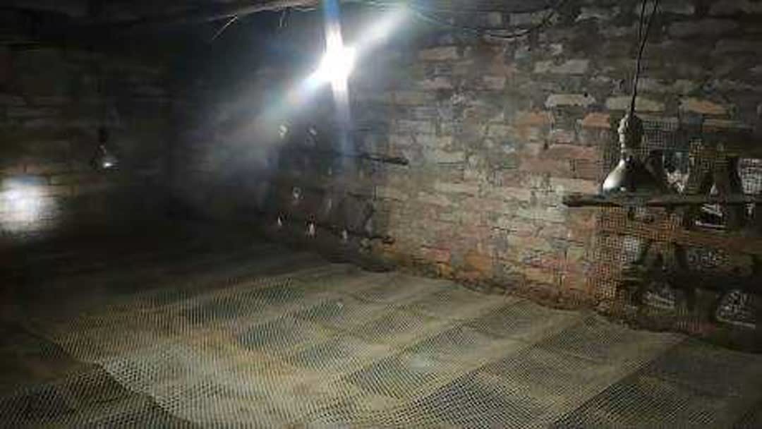 「养鸭记录」保温室维护2