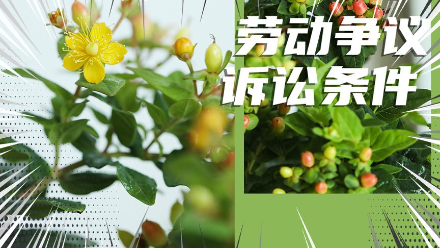 劳动争议案件诉讼条件