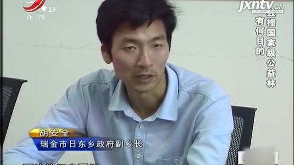 绿色回归2:男子为种脐橙,开山毁林,因犯滥伐林木罪被抓获