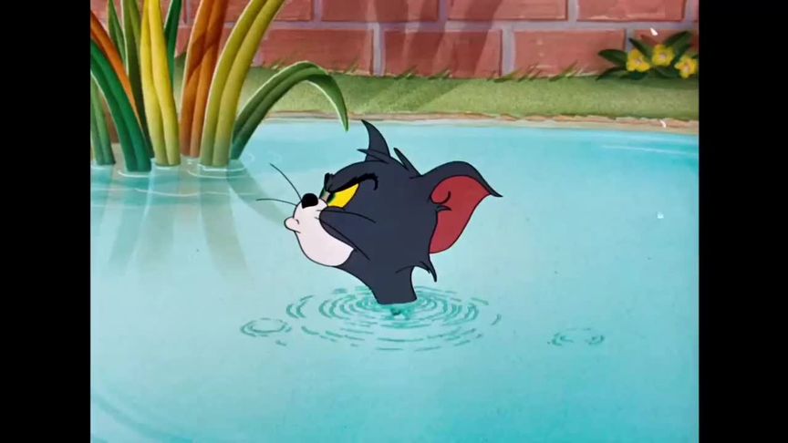 #经典动画片 #怀旧动画 #动画短片 #猫和老鼠