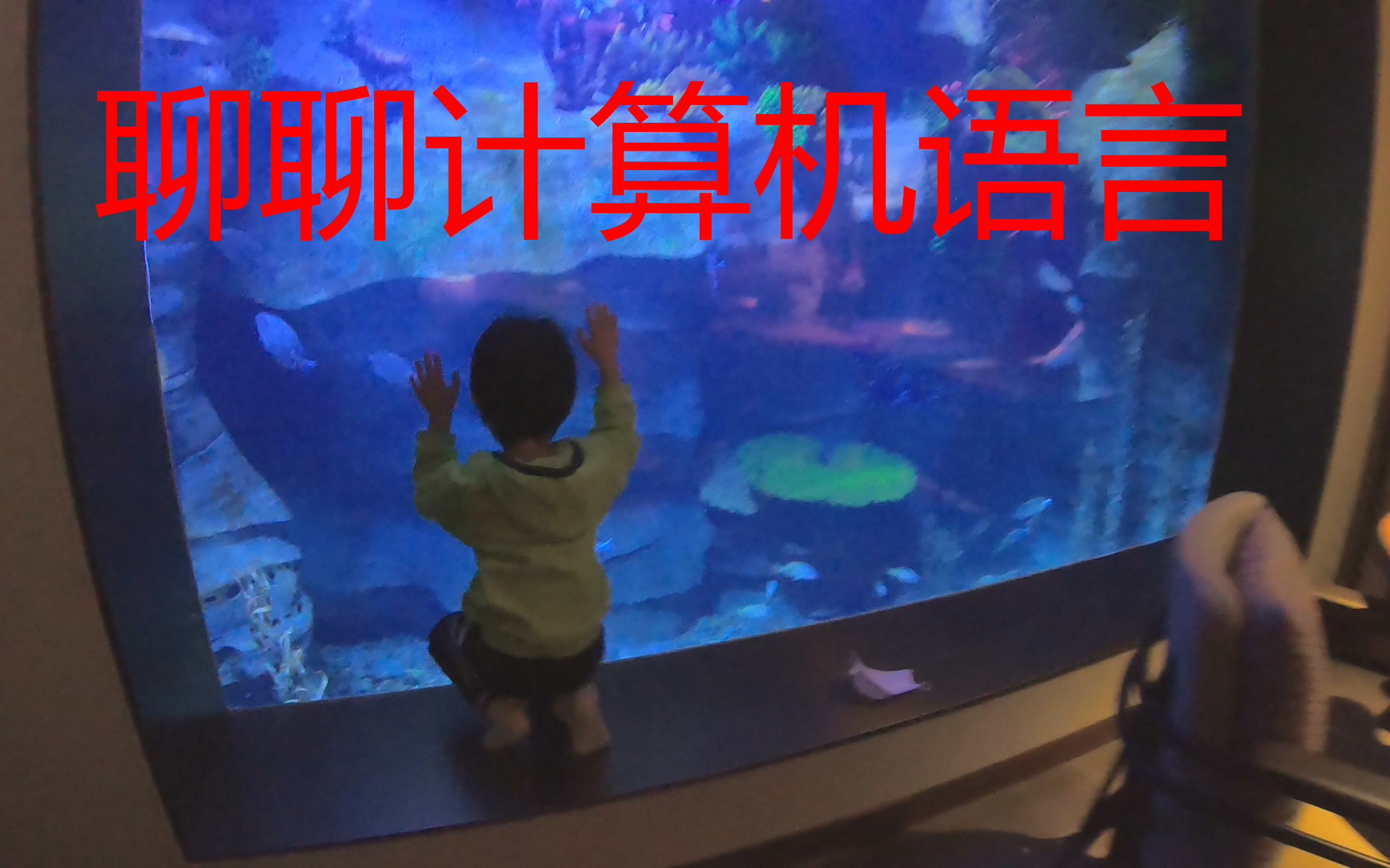 25 聊聊计算机语言