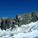 我的头发你在哪 