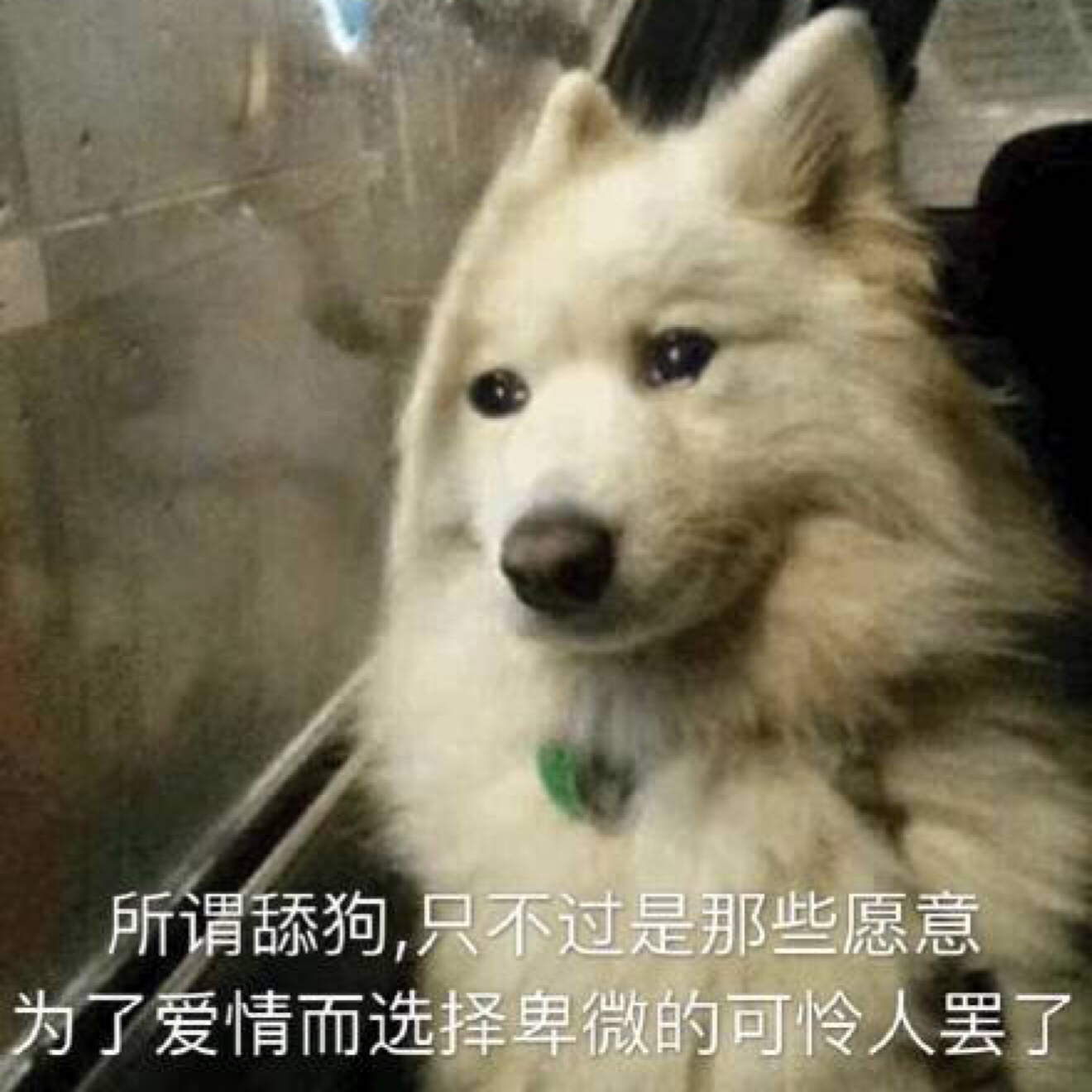 辉仔的故事集 