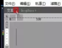 20190620飘雨老师讲会声会影【G滤镜双面翻页】