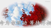会声会影MV制作练习
