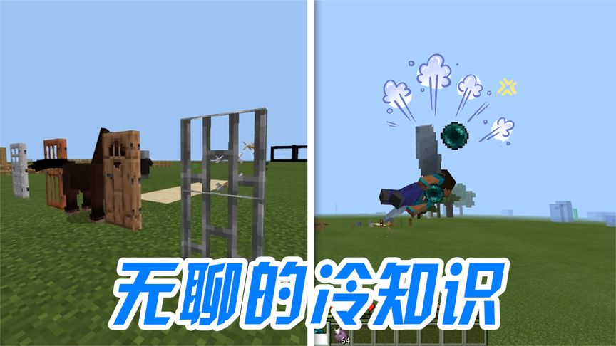 我的世界:无聊的冷知识,门上面都是有“玻璃”的!