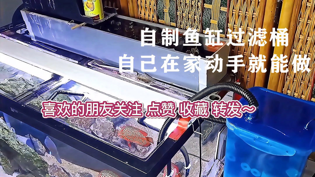 看手工达人自制鱼缸过滤桶,学会自己在家就能做