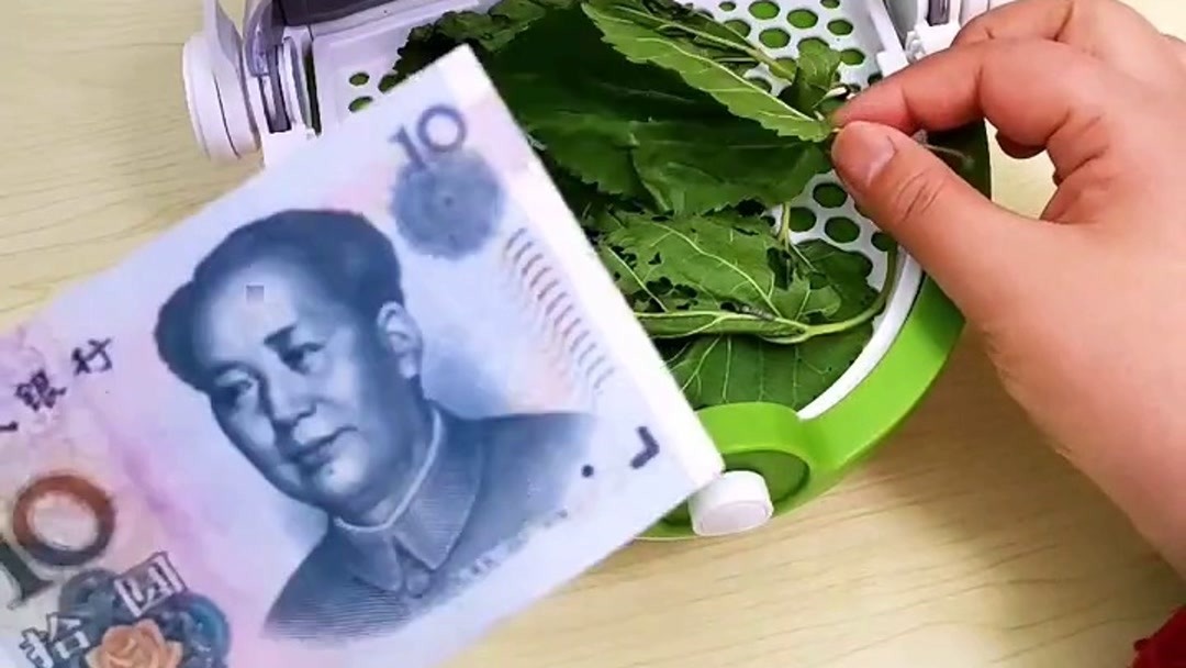 小学后,每周有适当的零花钱,每周给10元吧!现在学会了记账,越来越节约...