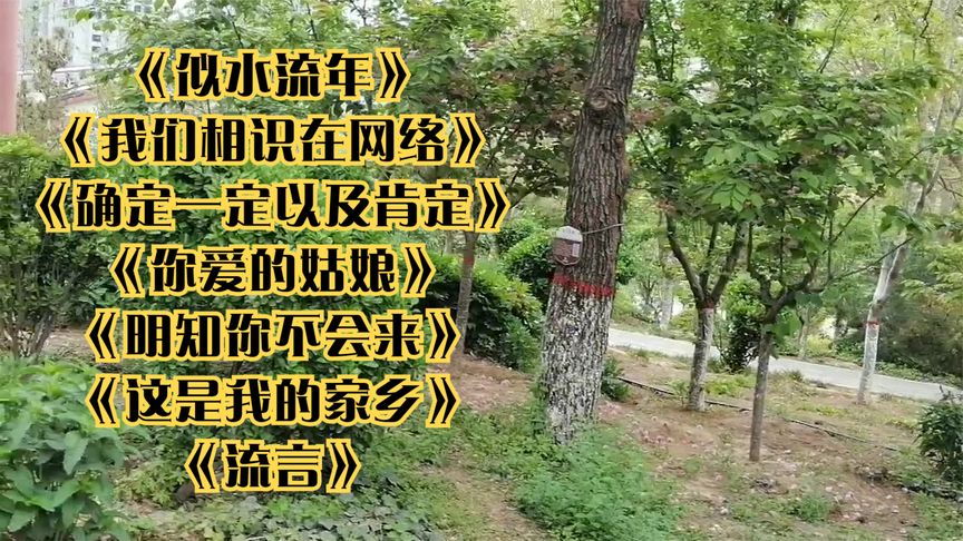 《似水流年》《我们相识在网络》《确定一定以及肯定》