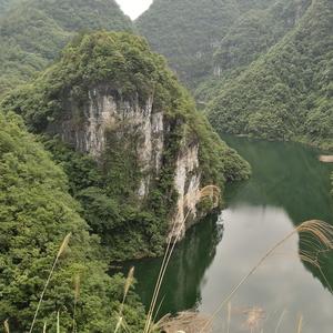 闻见春山 