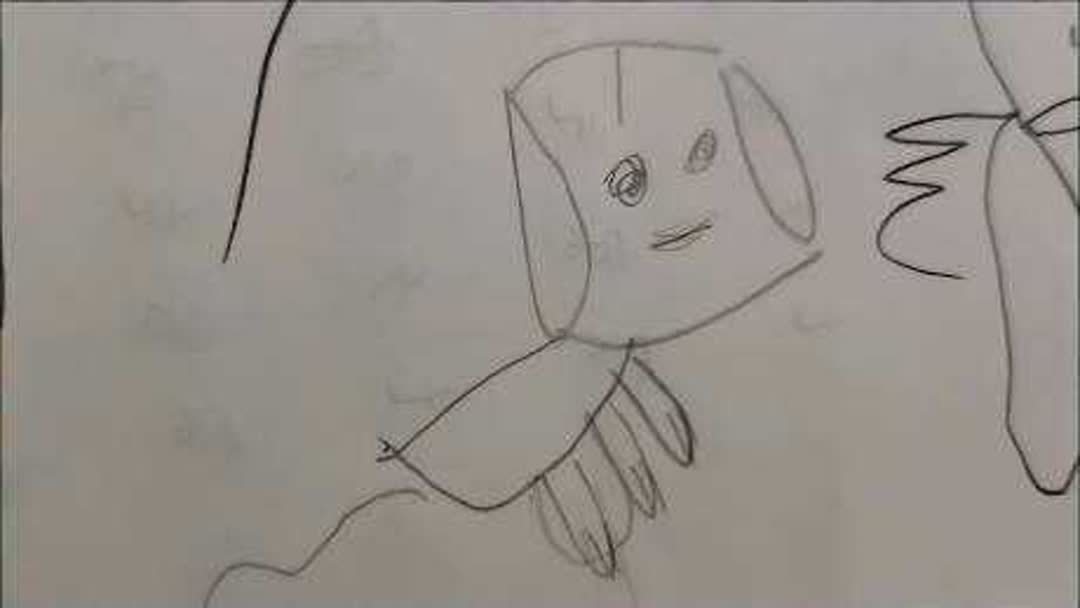 简笔画,画的小狗,小猫。